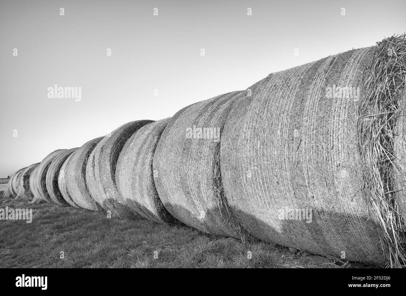 Pressed straw Black and White Stock Photos & Images - Alamy