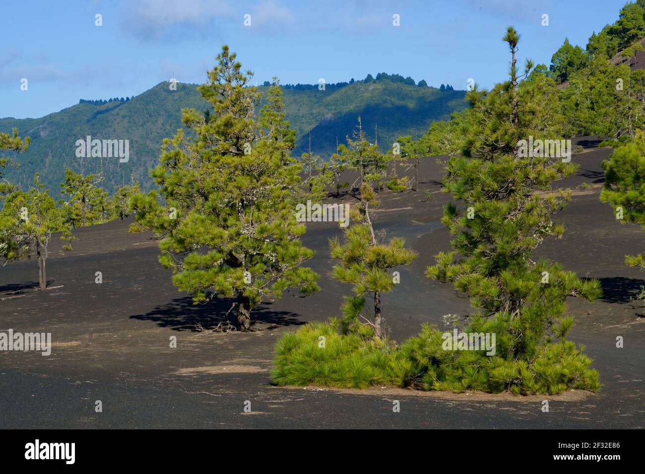 black - green - blue : the colors of La Palma Stock Photo - Alamy