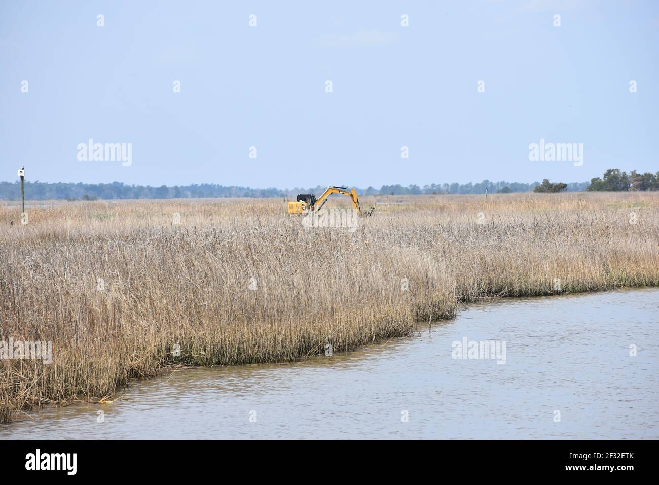 South Carolina low country landscape Stock Photo - Alamy