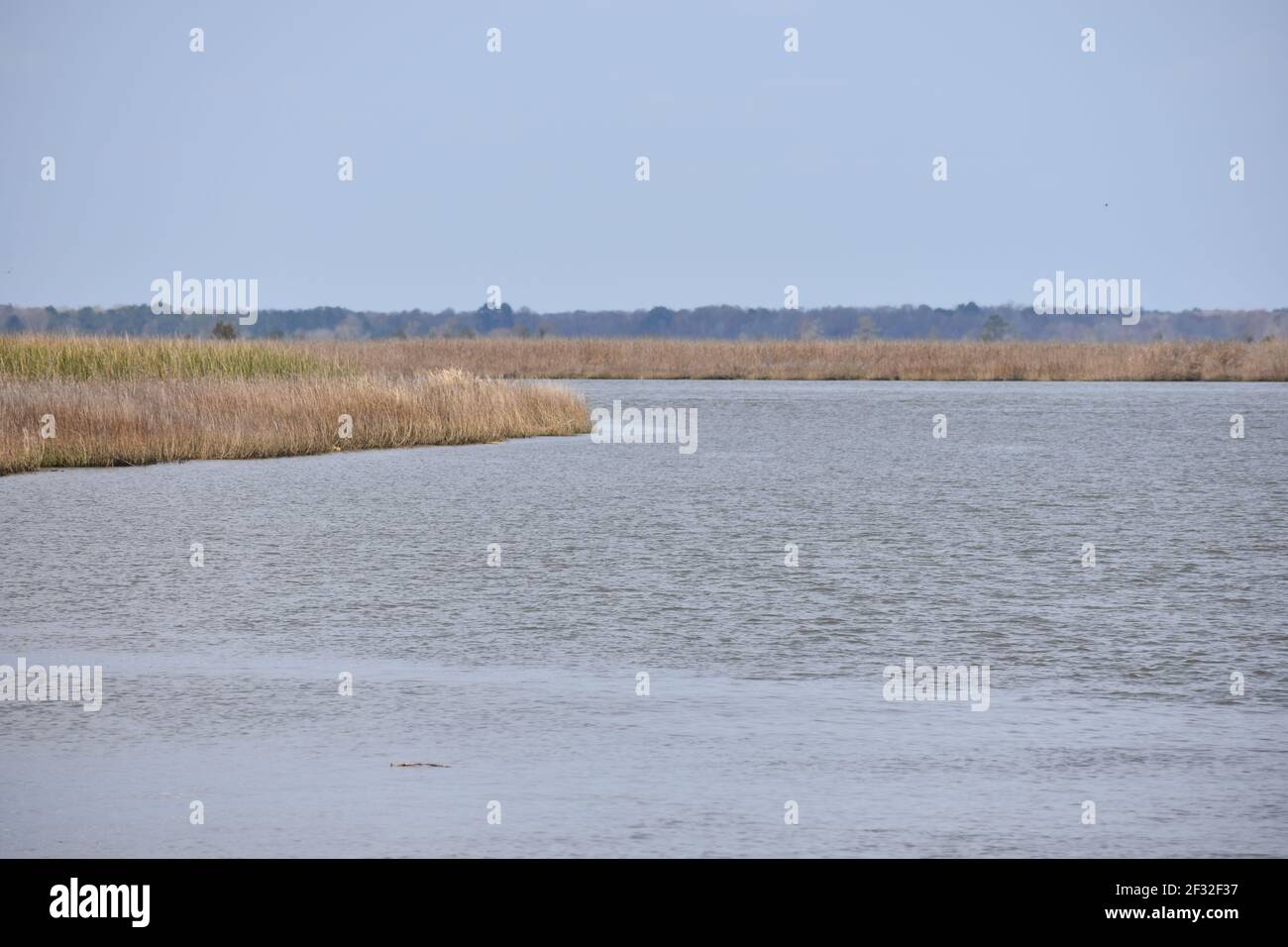 South Carolina low country landscape Stock Photo - Alamy