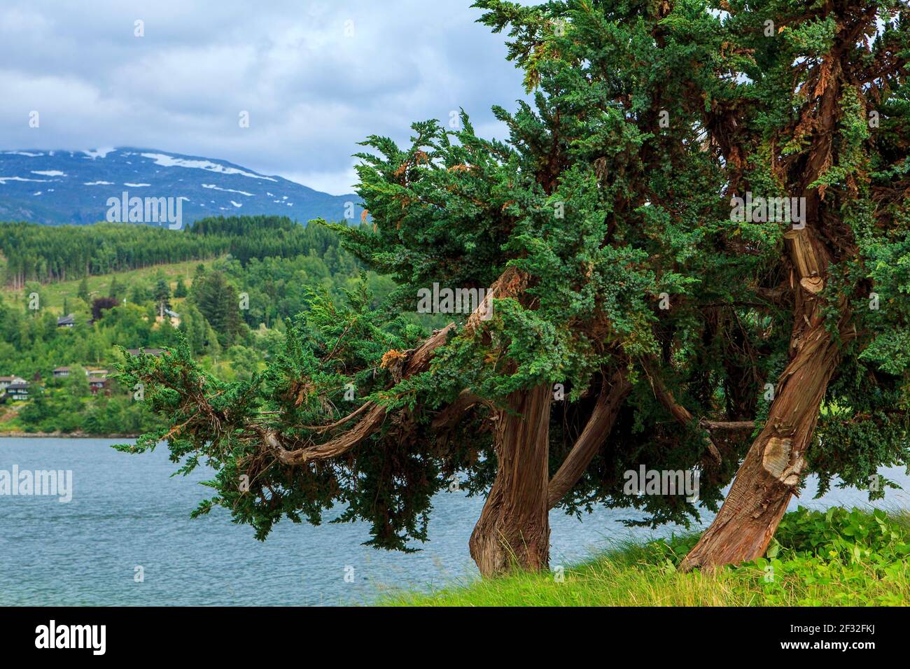 Lake, Ulvik, Norway Stock Photo - Alamy