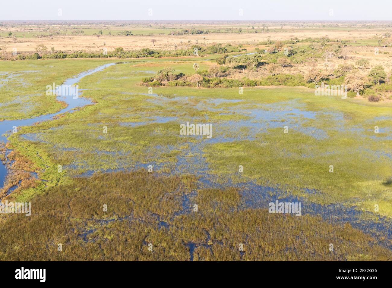 Aerial view Okavango Delta, Botswana Stock Photo - Alamy