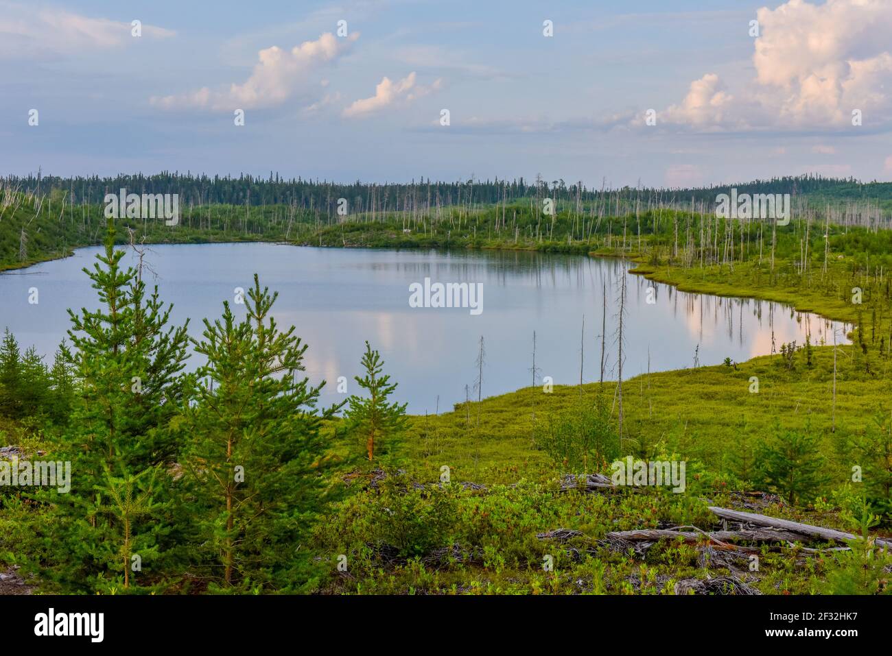 Landscape in the Northern Quebec region , Canada Stock Photo - Alamy