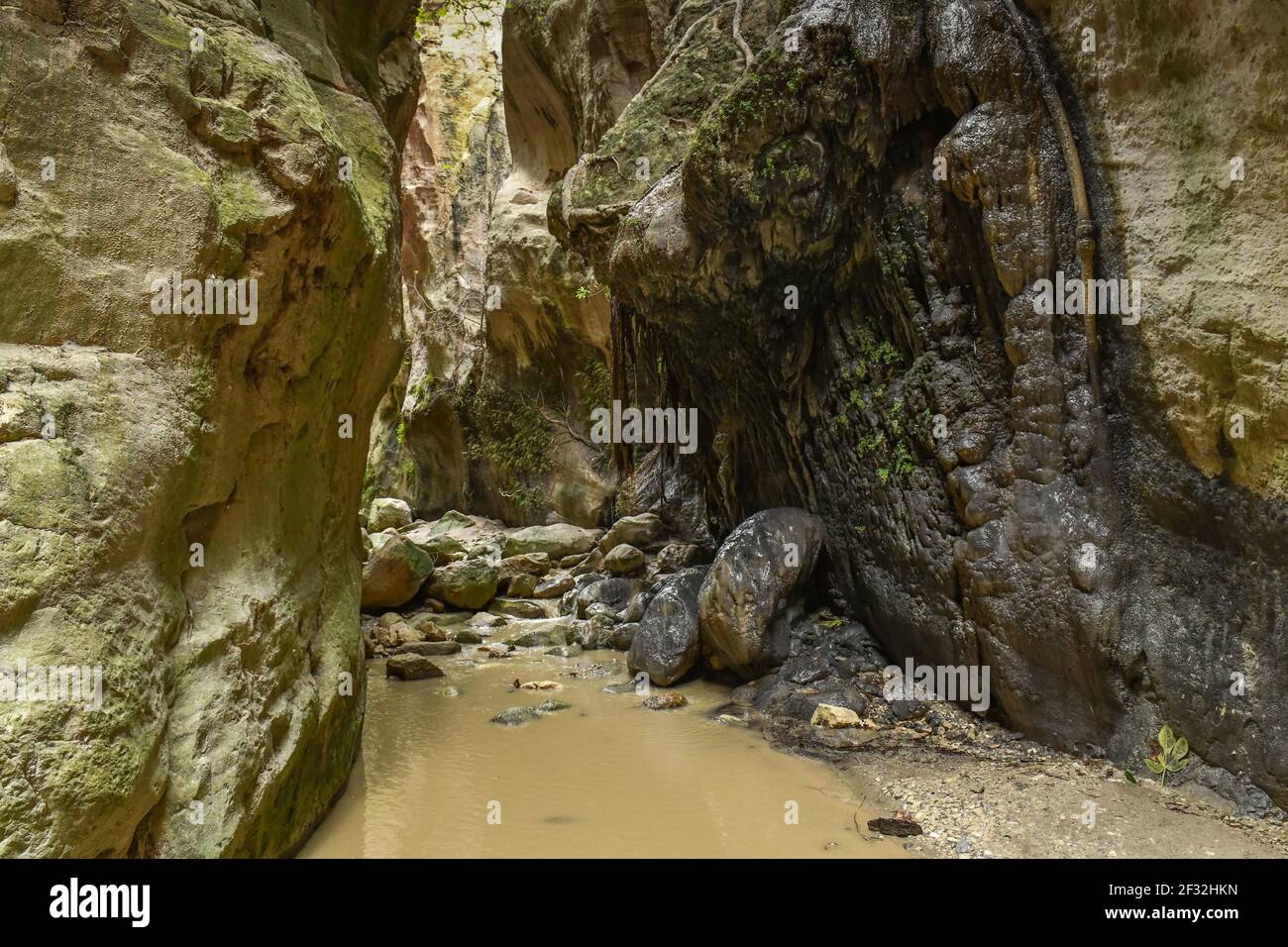 Akamas nature reserve cyprus hi-res stock photography and images - Alamy