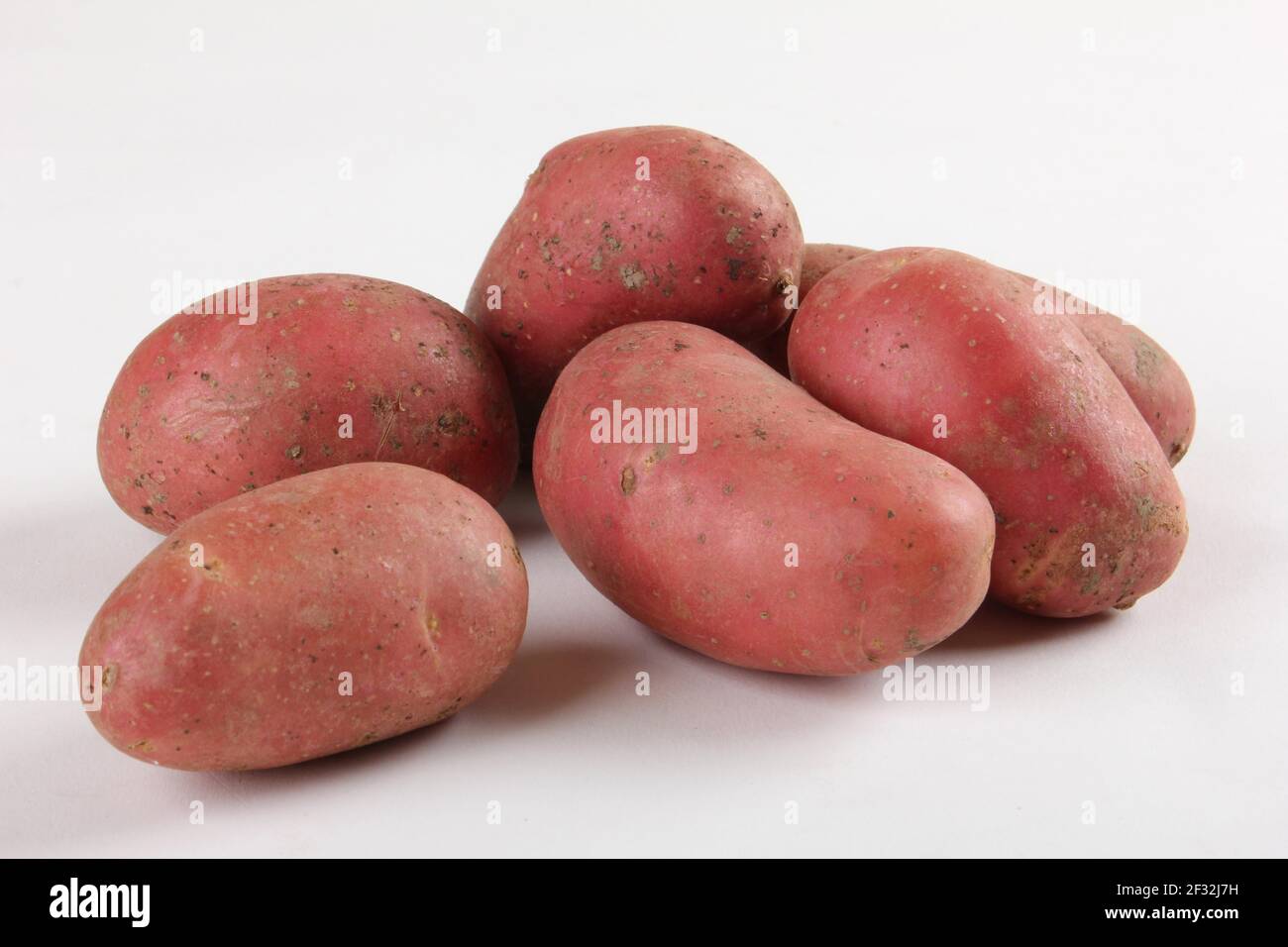 Potato laura variety hi-res stock photography and images - Alamy