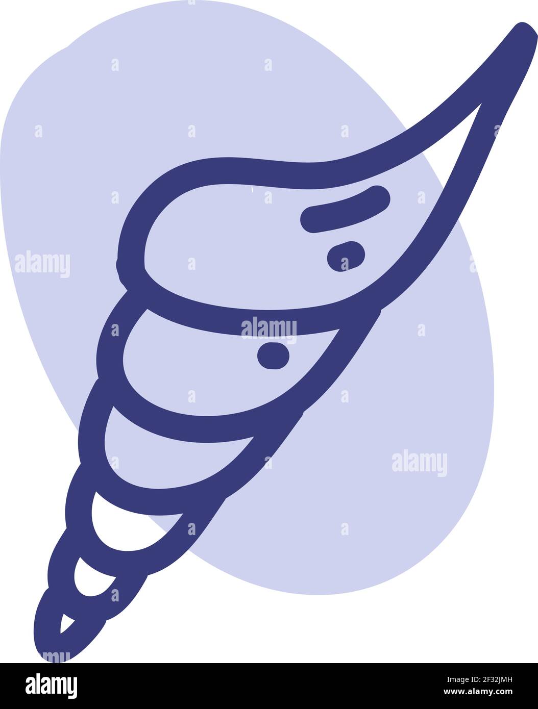 Long shell, illustration, vector on a white background Stock Vector ...