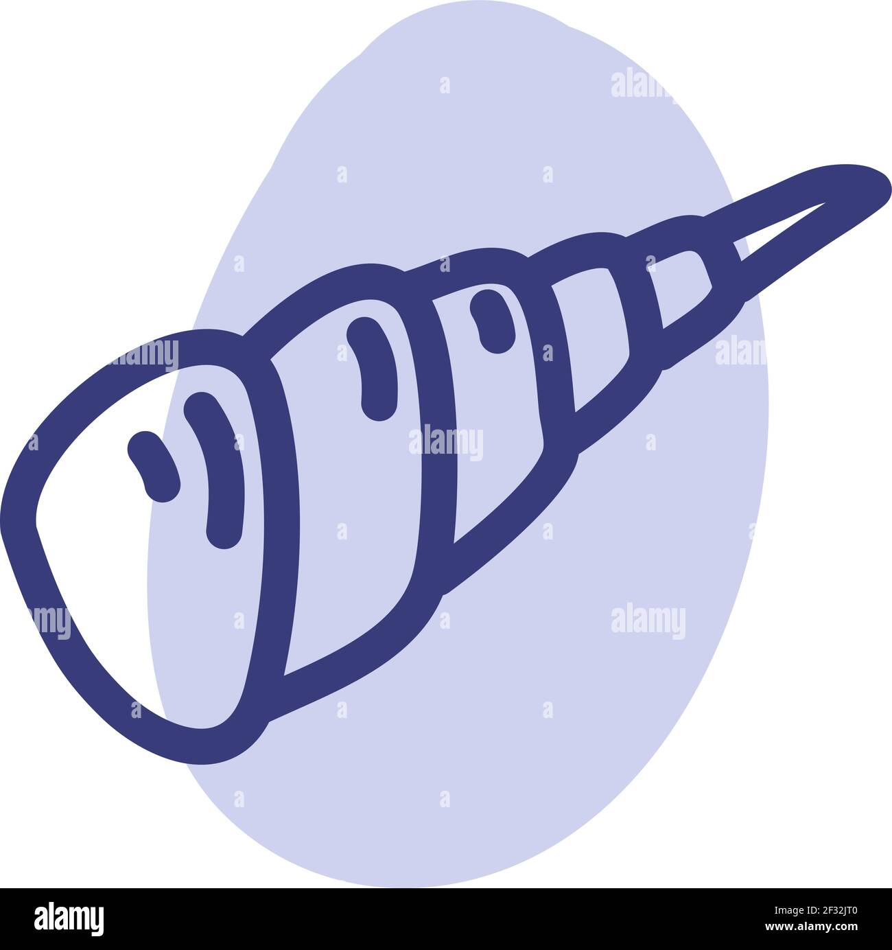 Long sea shell, illustration, vector on a white background Stock Vector ...