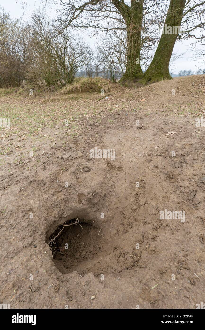 Dug out cave hi-res stock photography and images - Alamy
