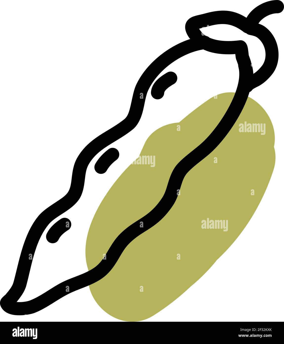 White french beans Stock Vector Images - Alamy