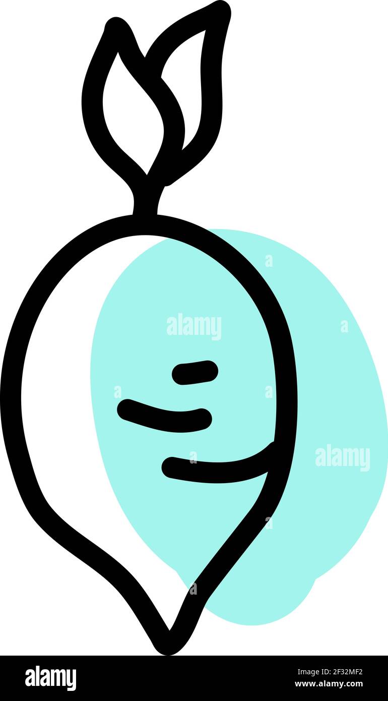Fresh turnip, illustration, vector on a white background Stock Vector ...