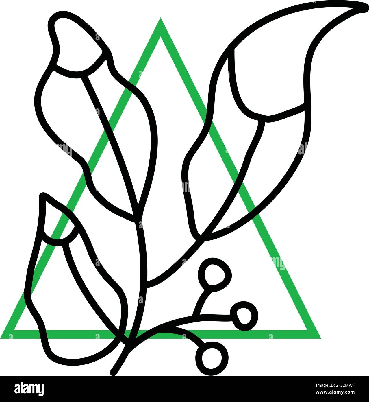 Plant with big leaves, illustration, vector on a white background Stock ...