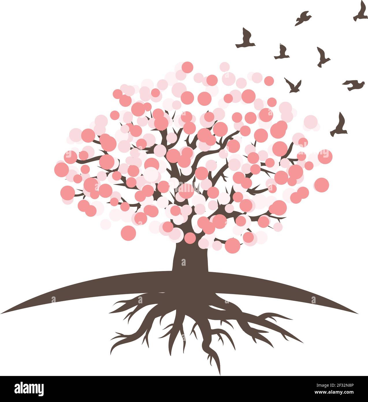 Cherry Blossom Tree Roots Patio Cherry Blossom Tree | Prunus