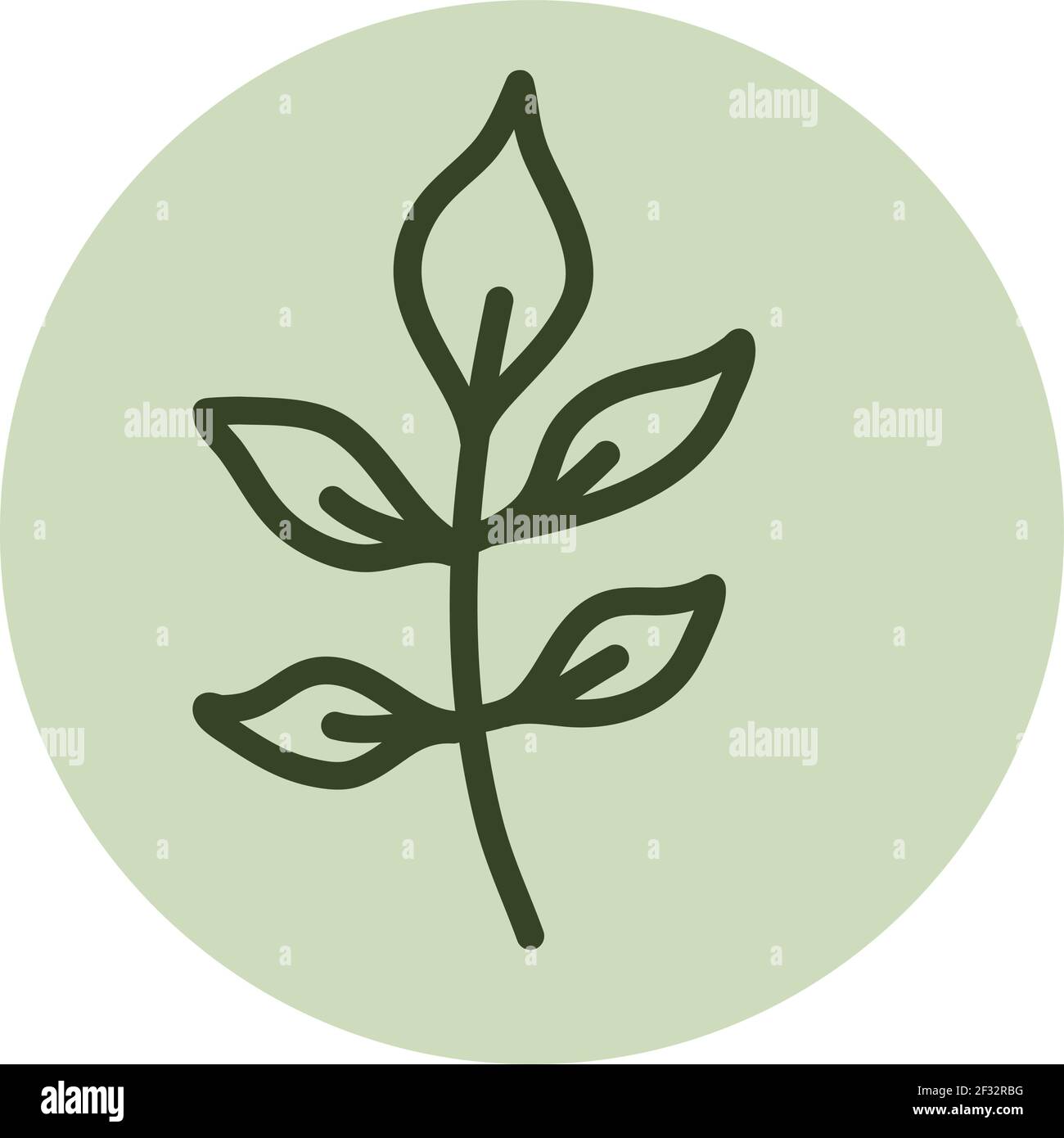 Small pointy leaves, illustration, vector on a white background Stock ...