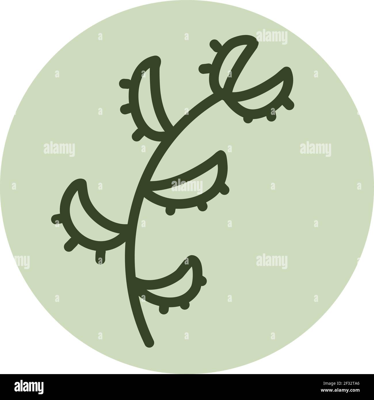 Six leaves with spikes, illustration, vector on a white background ...
