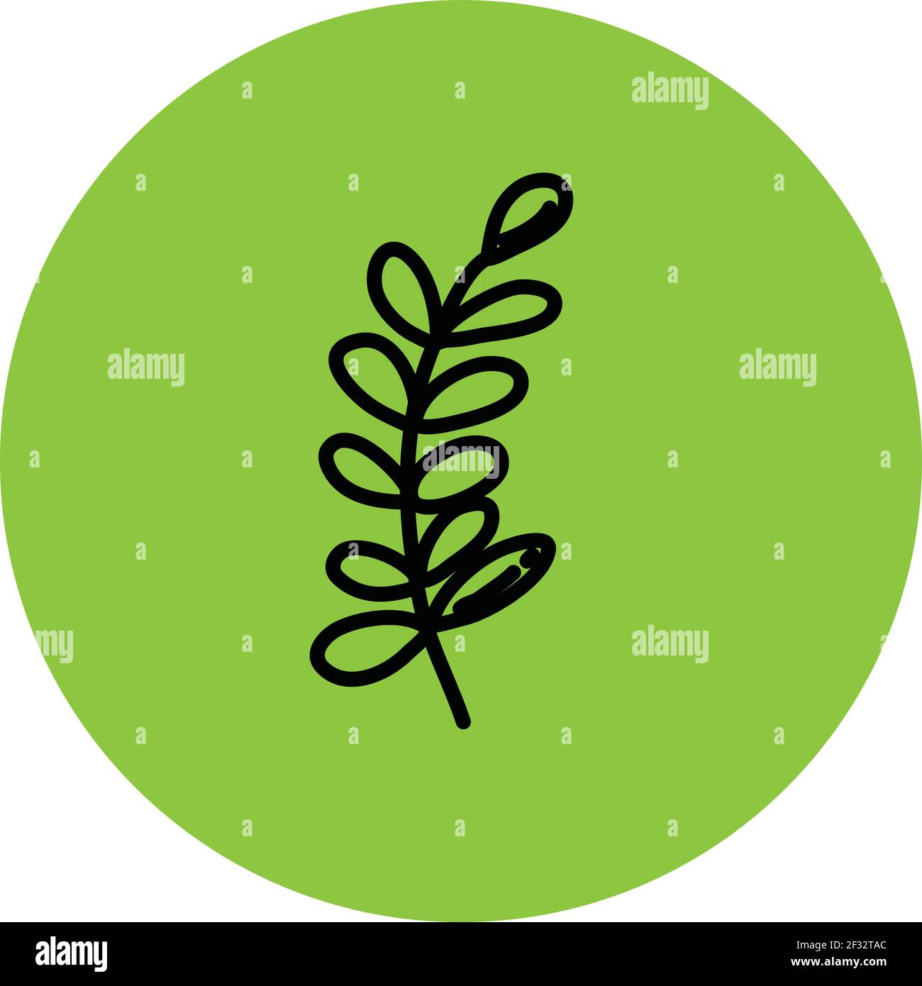 Spring plant with tiny leaves, illustration, vector on a white ...