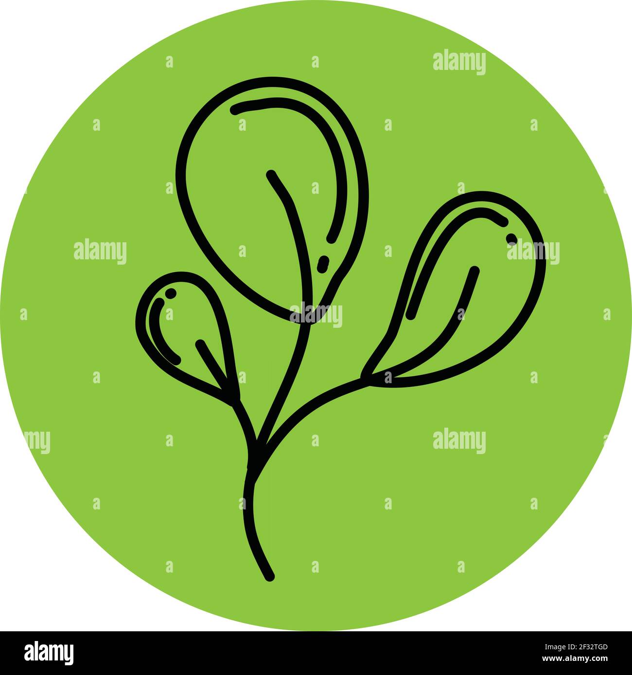 Three green leaves on a branch, illustration, vector on a white ...