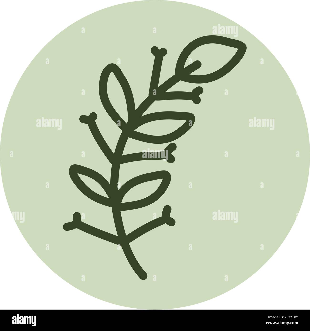 Small leaves on branches Stock Vector Images - Alamy