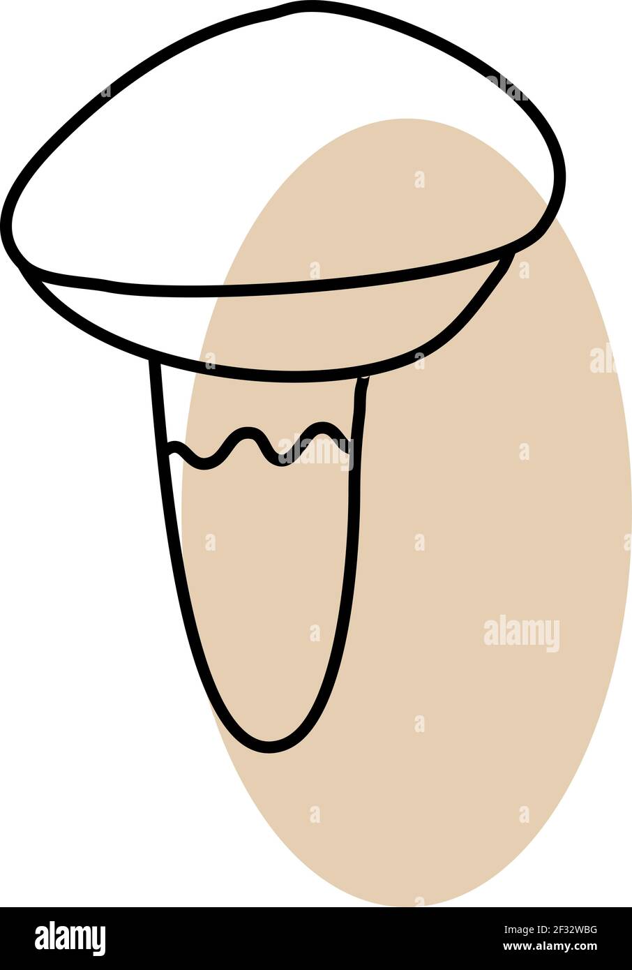 Button mushroom, illustration, vector on a white background Stock ...