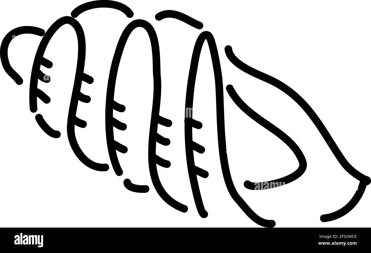 Long sea shell, illustration, vector on a white background Stock Vector ...