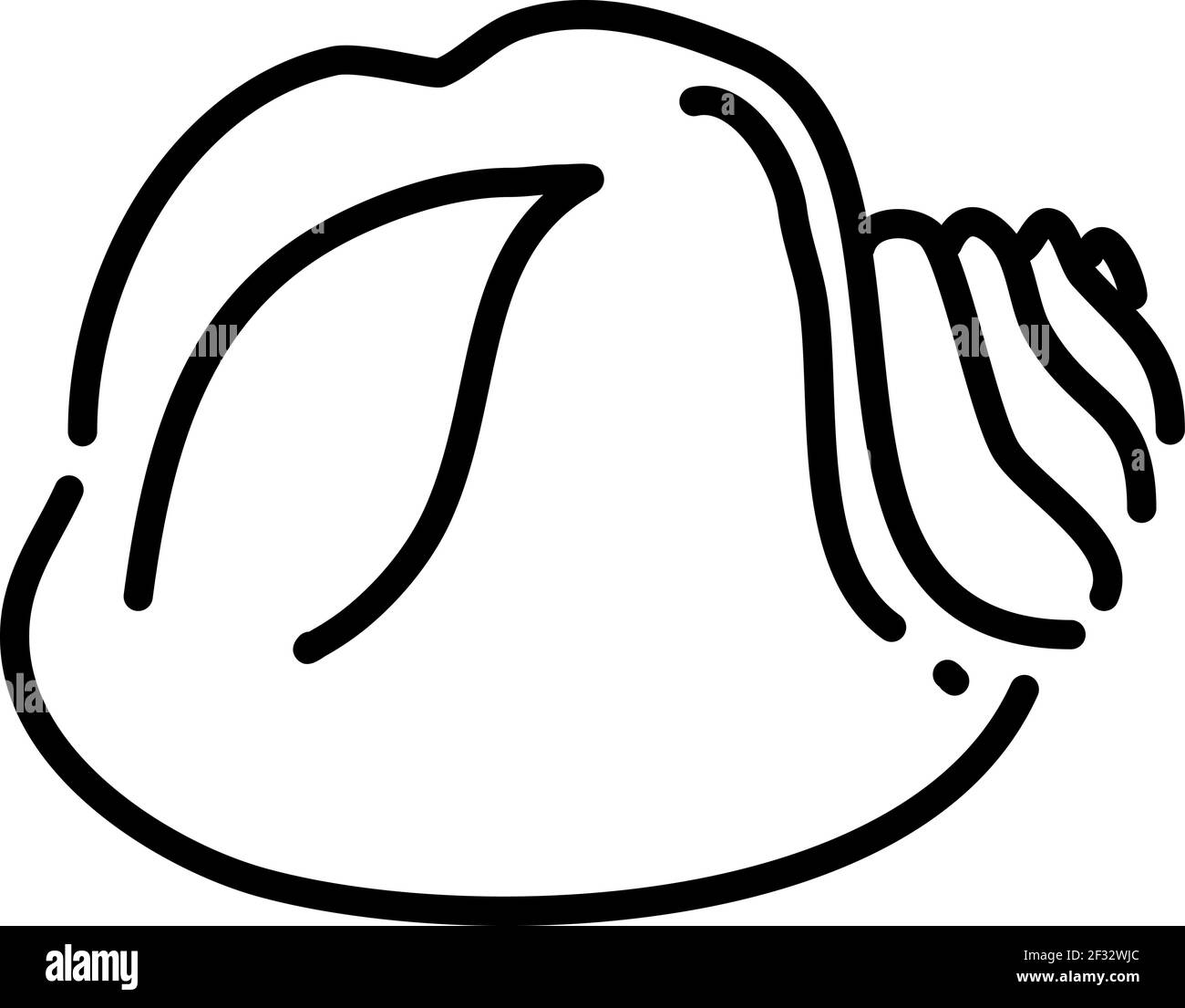 Black and white sea shell, illustration, vector on a white background ...