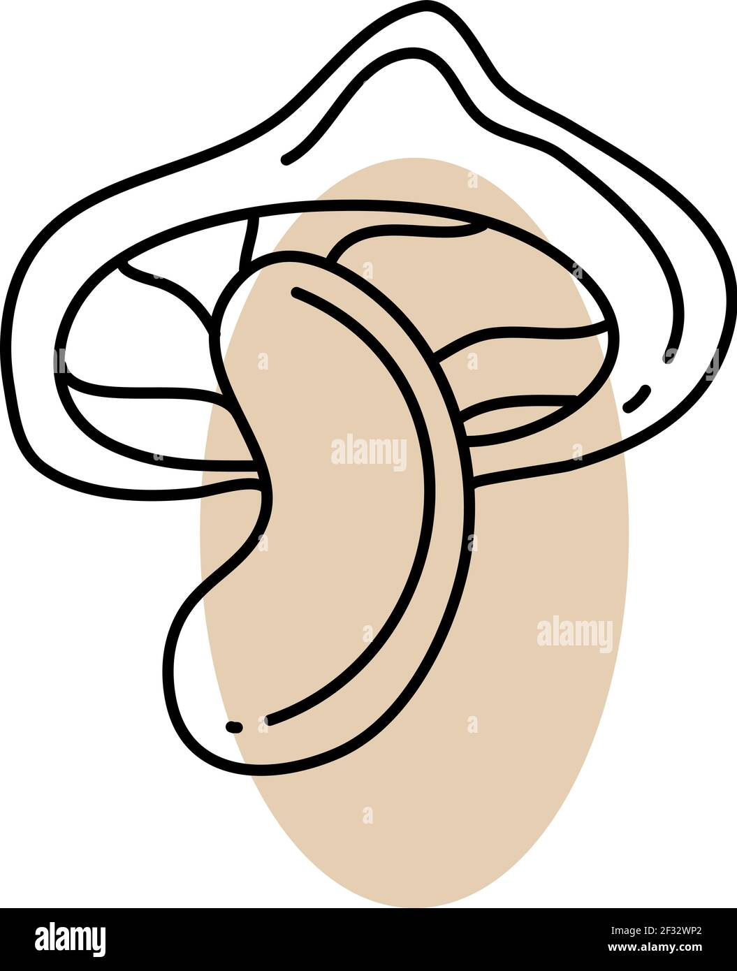 Mushroom on moss Stock Vector Images - Alamy