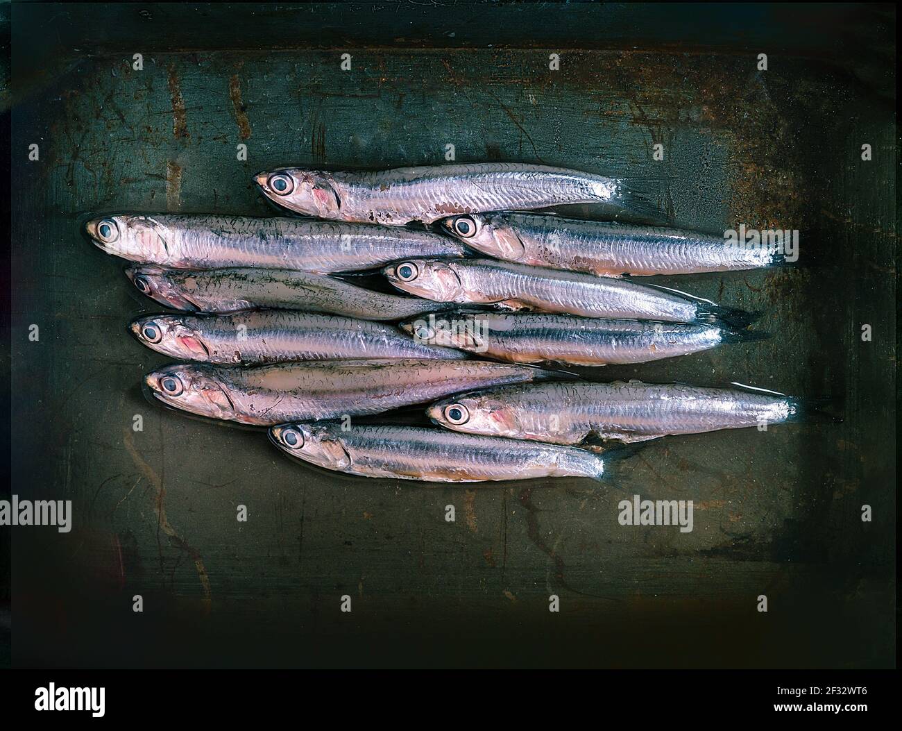 Top View Of A Bunch Of Anchovies Stock Photo - Alamy