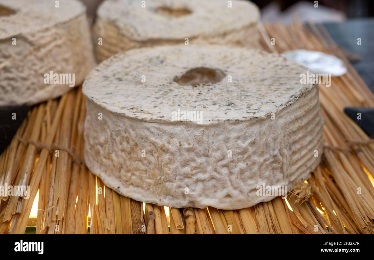 Cheese collection, French cheese Rouelle du Tarn made from raw goat ...