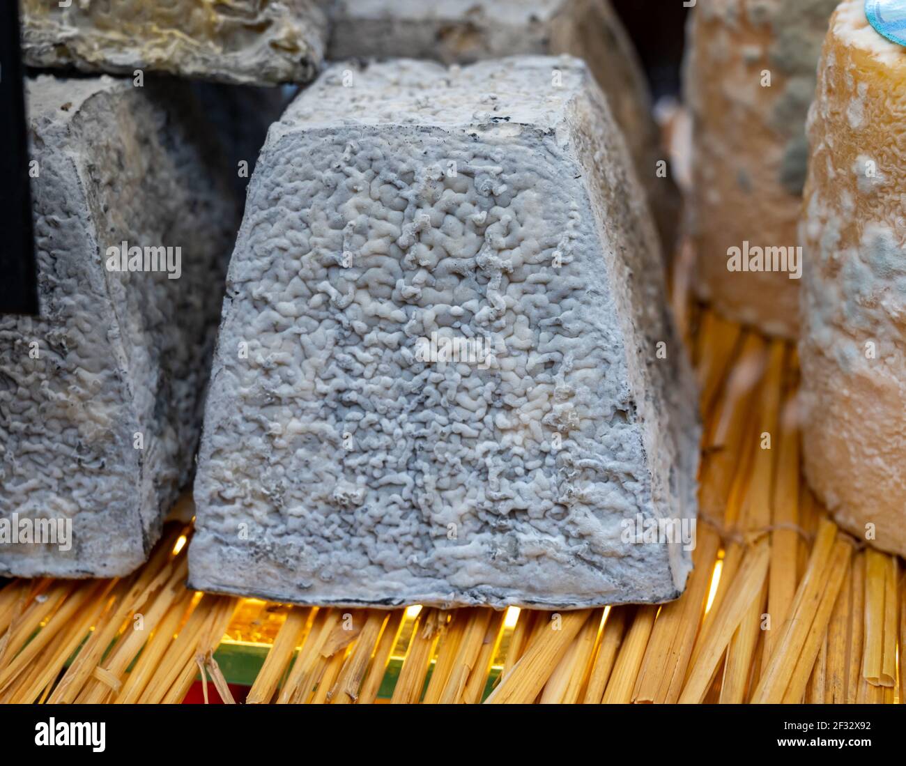 Cheese collection, French cheese Valencay made from goat milk in region ...