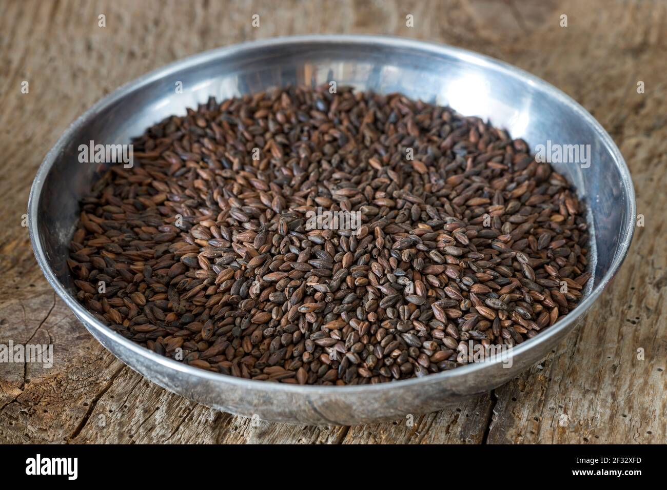 Amber malt barley hi-res stock photography and images - Alamy