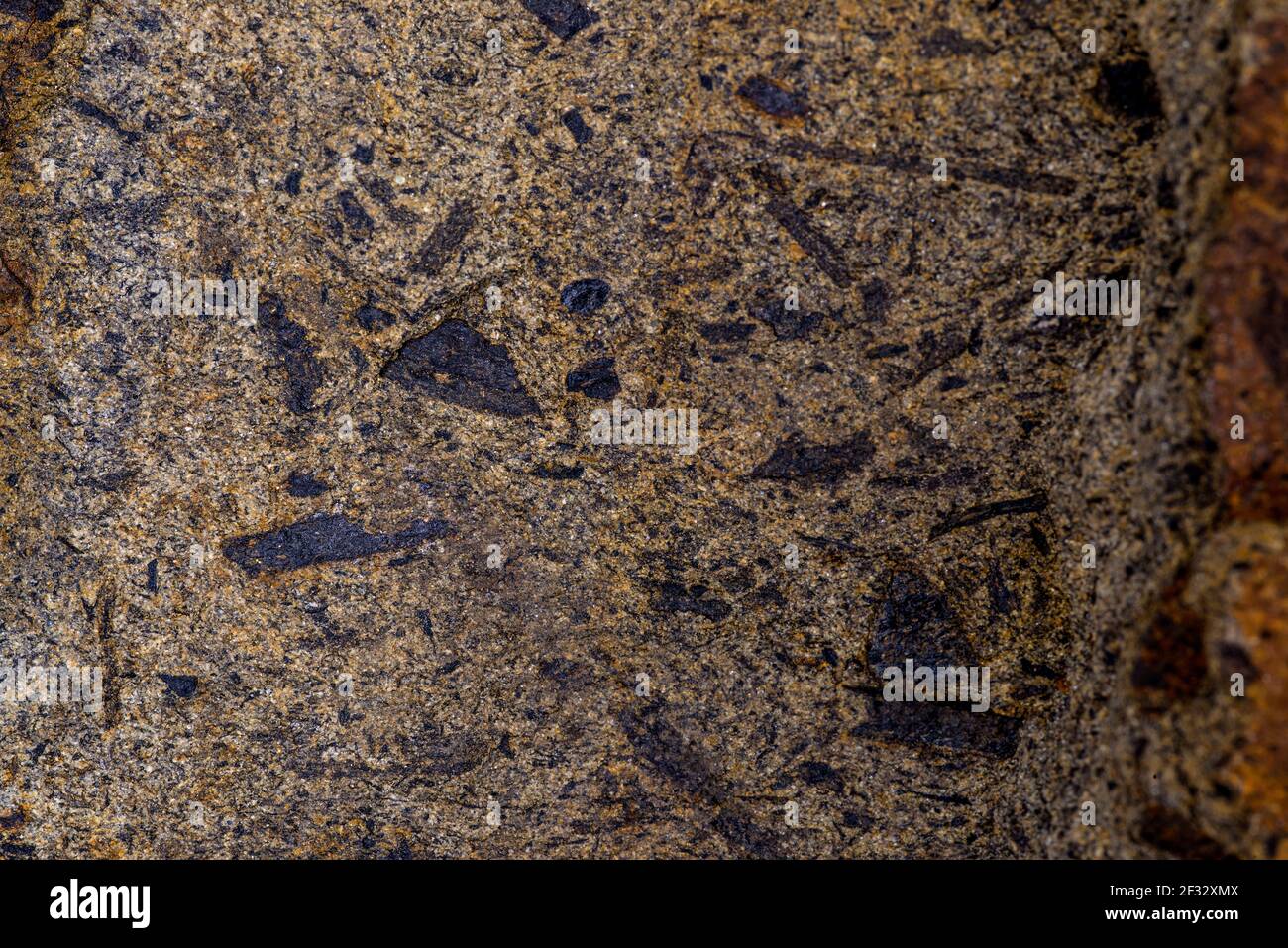 Sedimentary rock greywacke hi-res stock photography and images - Alamy