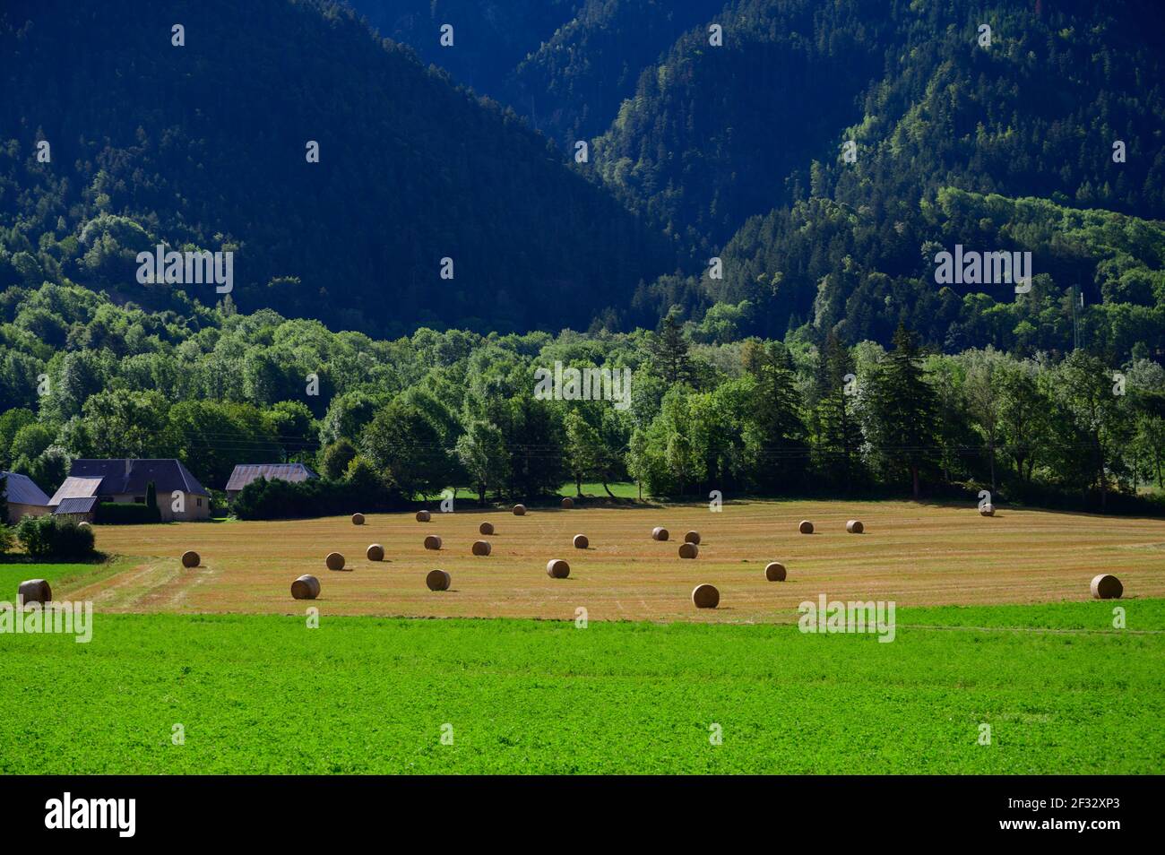 Green meadows and fresh hay in French Prealps, nature background ...