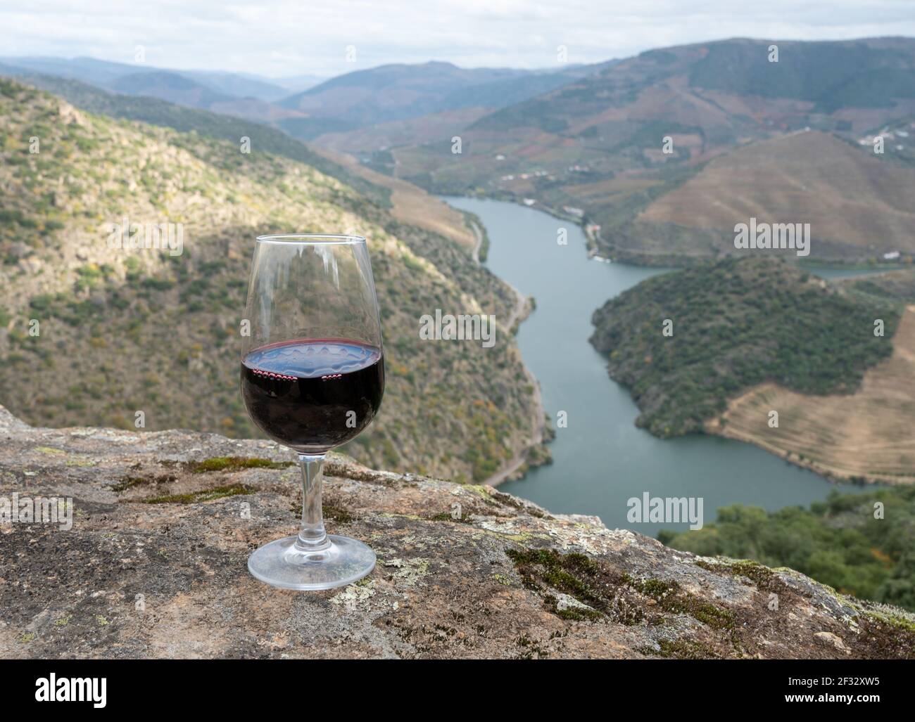 Glass of Portuguese fortified port wine, produced in Douro Valley and ...