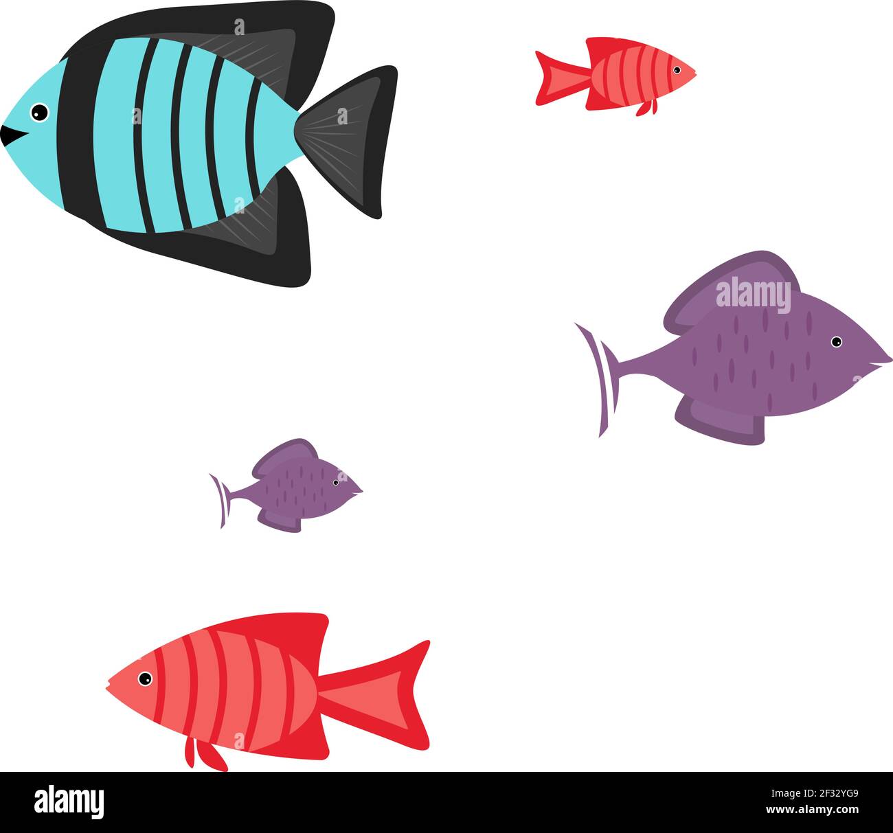 Group fishes on white hi-res stock photography and images - Alamy