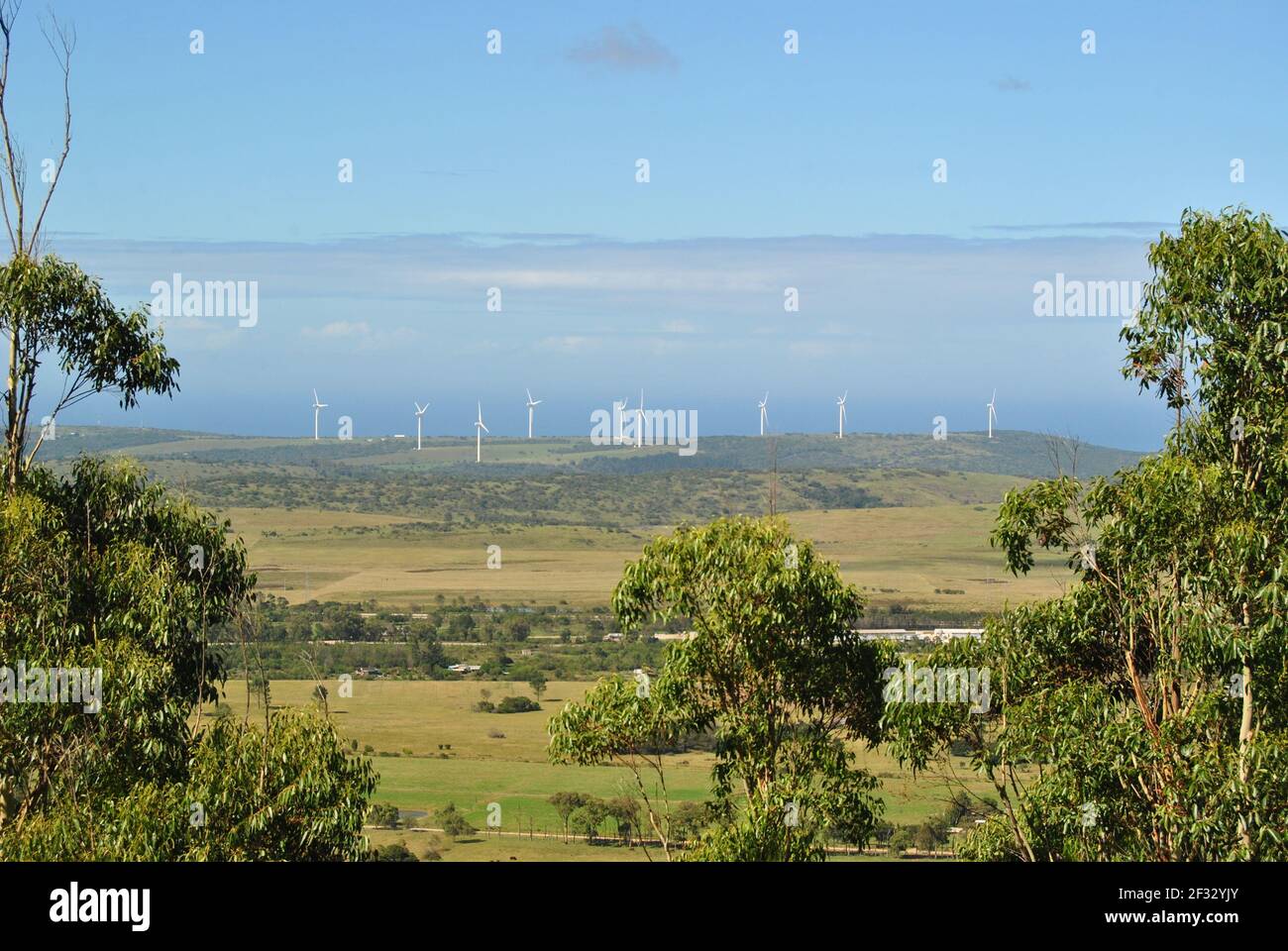 forest walk and exploration for different good shots of animals plants ...