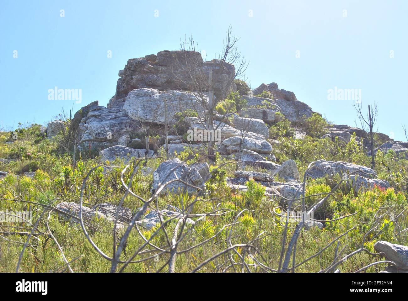 forest walk and exploration for different good shots of animals plants ...