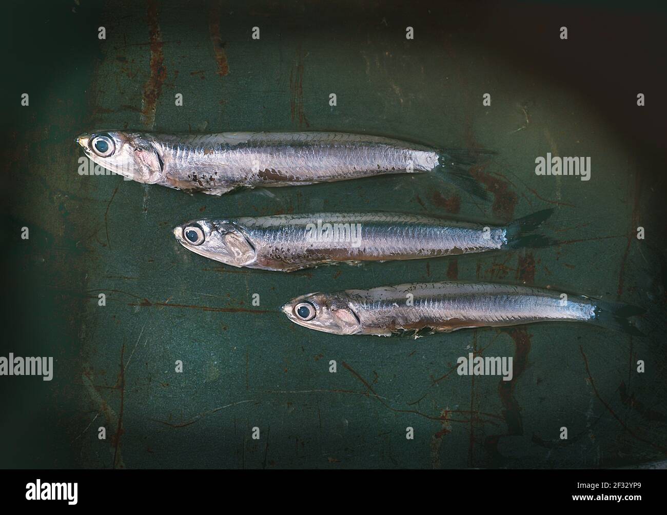 Top View To Three Anchovies On A Vintage Background Stock Photo - Alamy