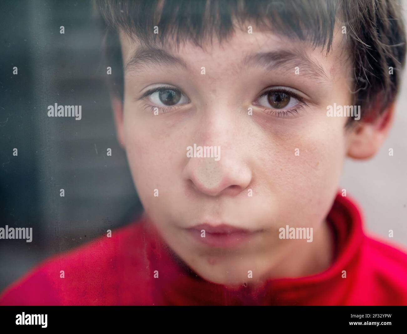 Pressed against glass hi-res stock photography and images - Alamy