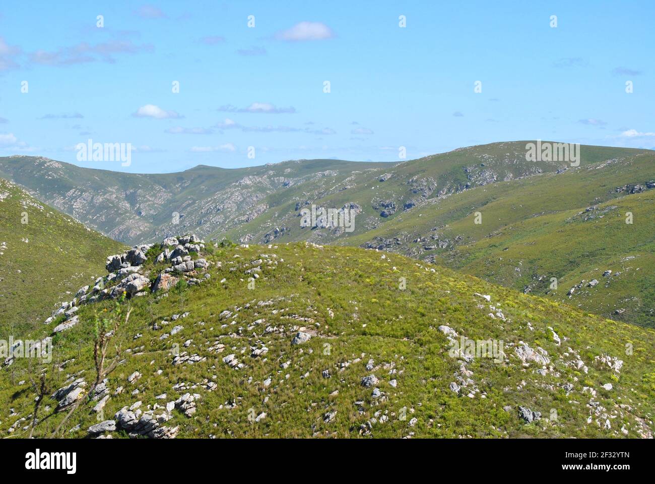 forest walk and exploration for different good shots of animals plants ...