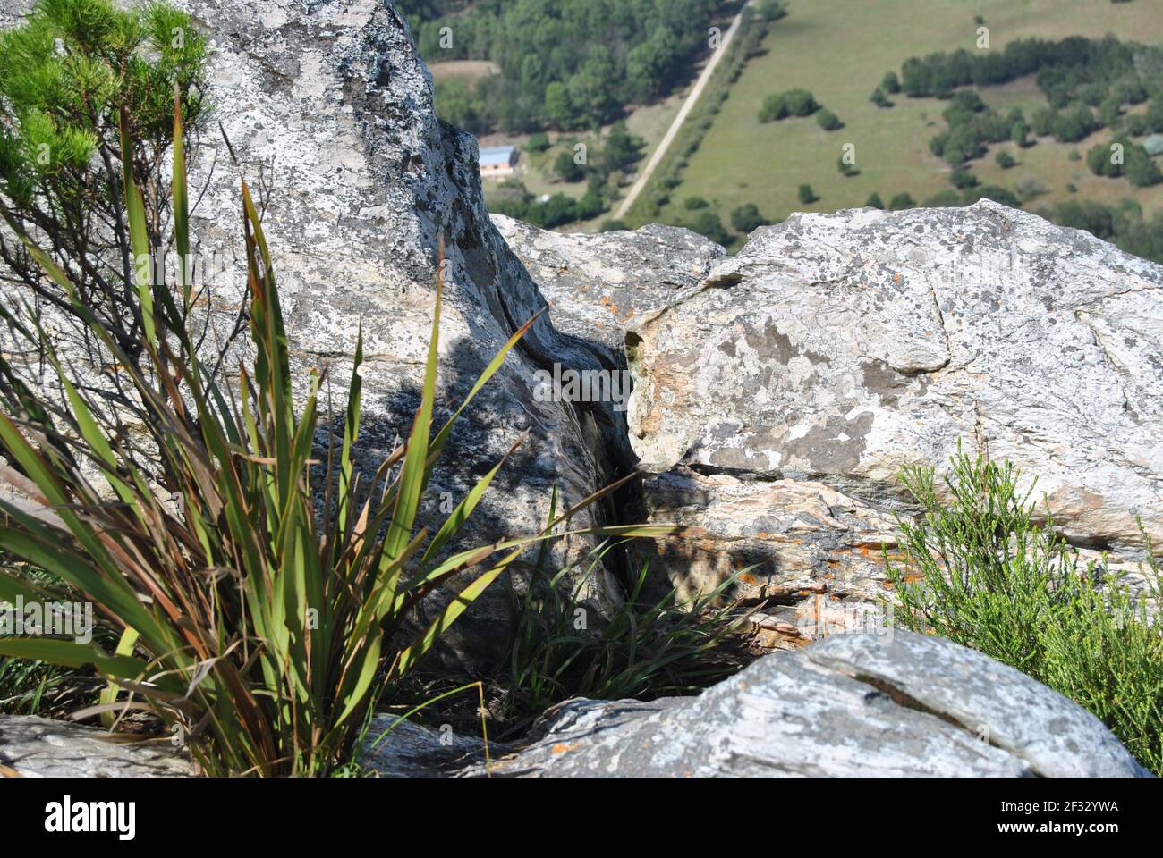 forest walk and exploration for different good shots of animals plants ...