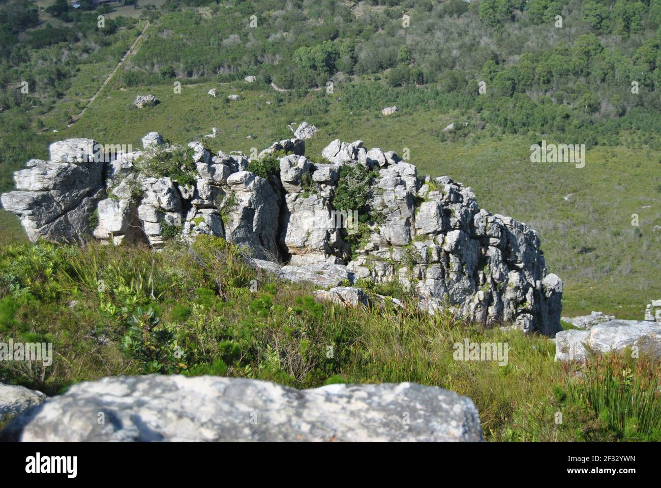 forest walk and exploration for different good shots of animals plants ...