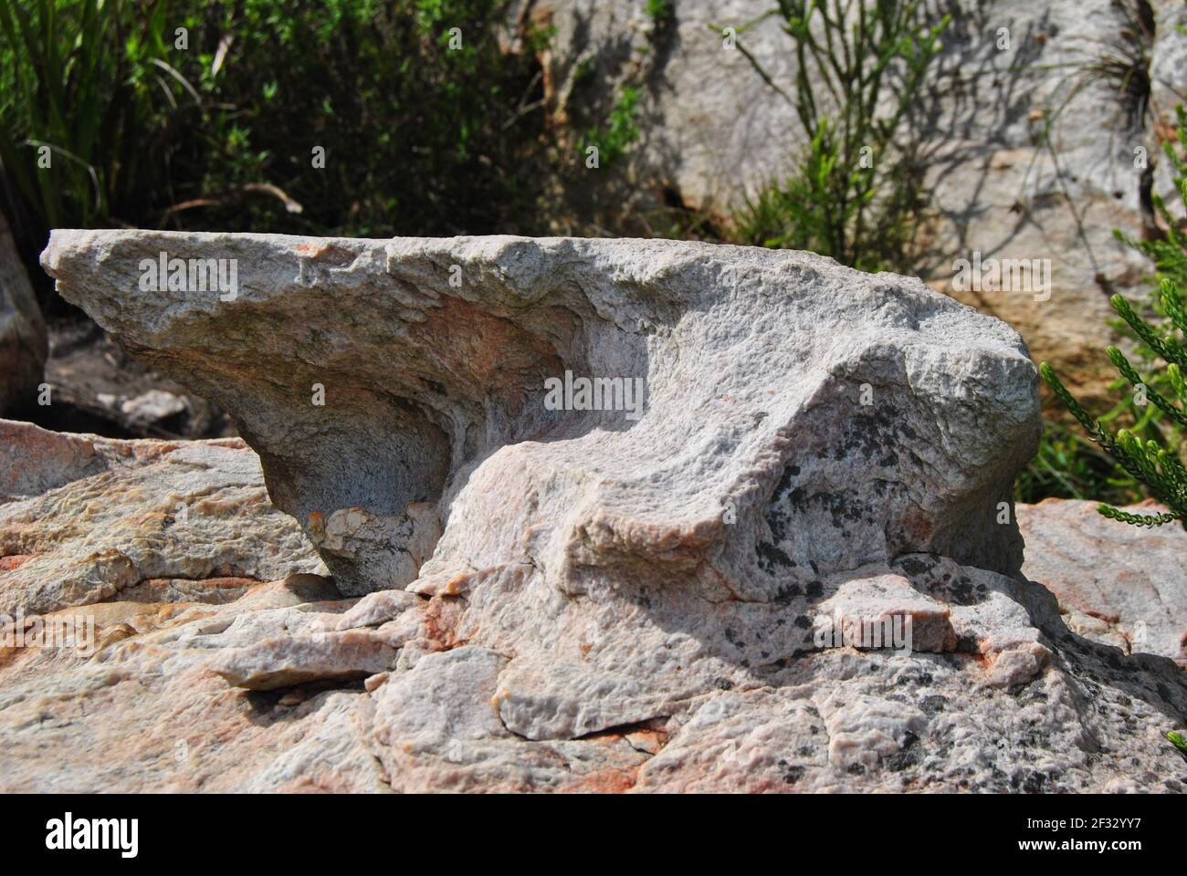 forest walk and exploration for different good shots of animals plants ...