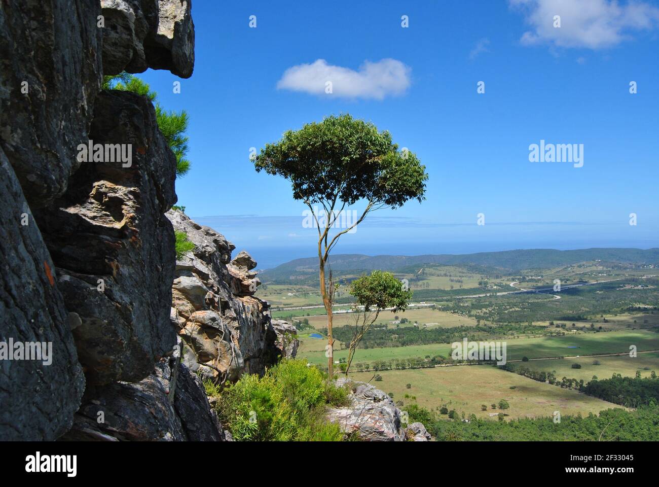 forest walk and exploration for different good shots of animals plants ...