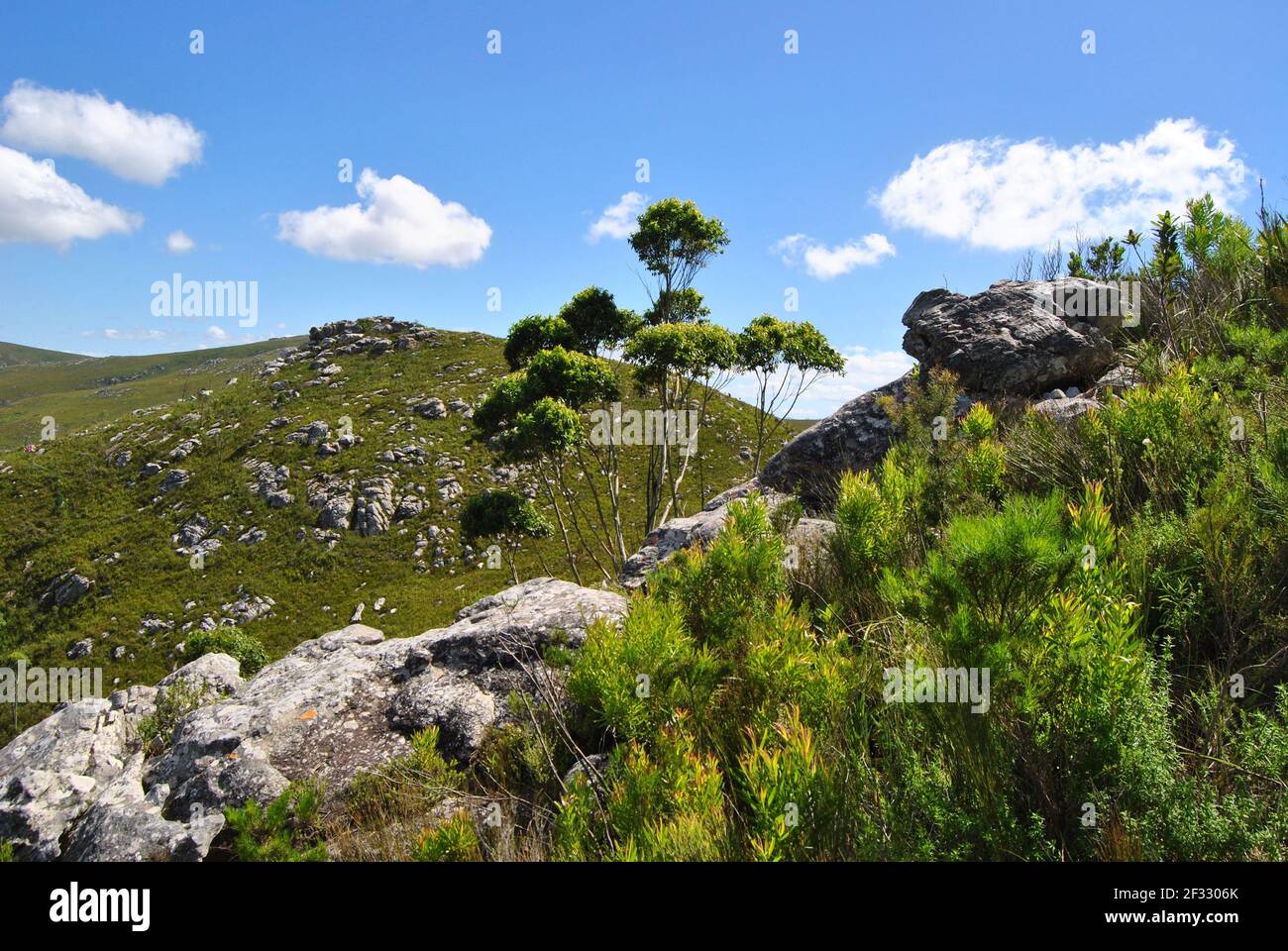 forest walk and exploration for different good shots of animals plants ...