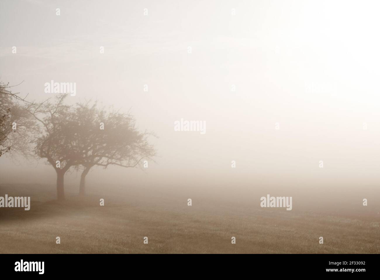 Depressing photo hi-res stock photography and images - Alamy