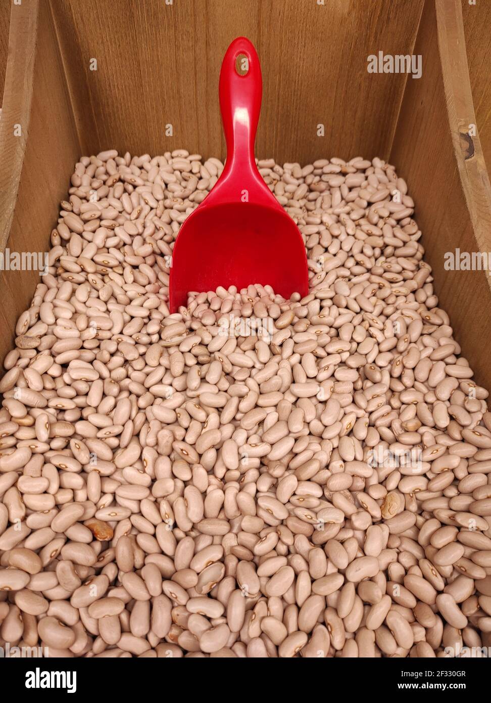 A vertical shot of a box of white beans with a red plastic scoop for ...