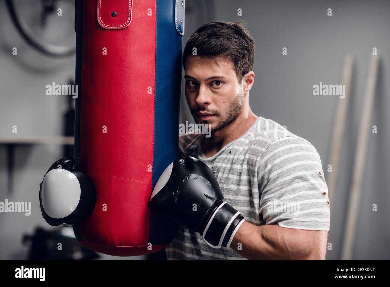 an athlete boxer poses for a photo session in the hall where he is ...