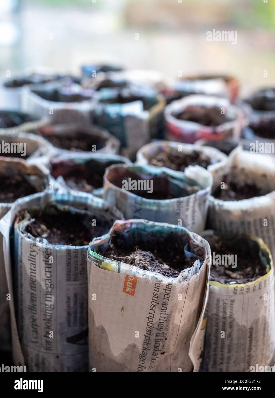 Homemade compostable, biodegradable newspaper seed starter pots ...