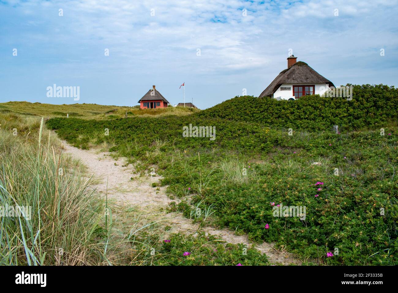 Traditional danish houses with thatched roof on shores of Blavand ...