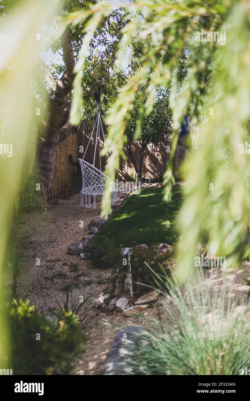 idyllic sunny backyard with lots of plants aand tree with haning chair ...