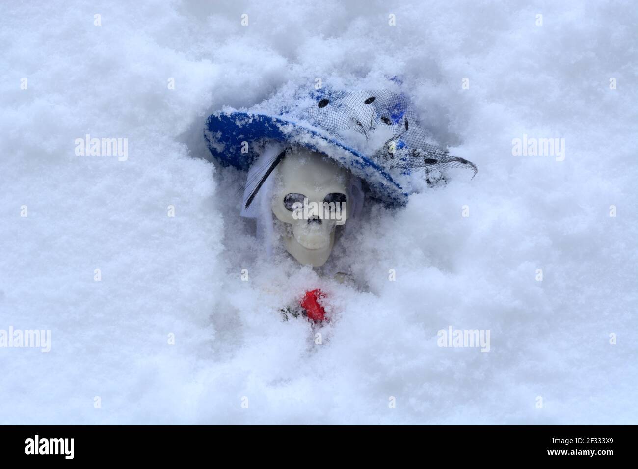Woman skeleton in fancy blue hat buried in snow during storm blizzard ...